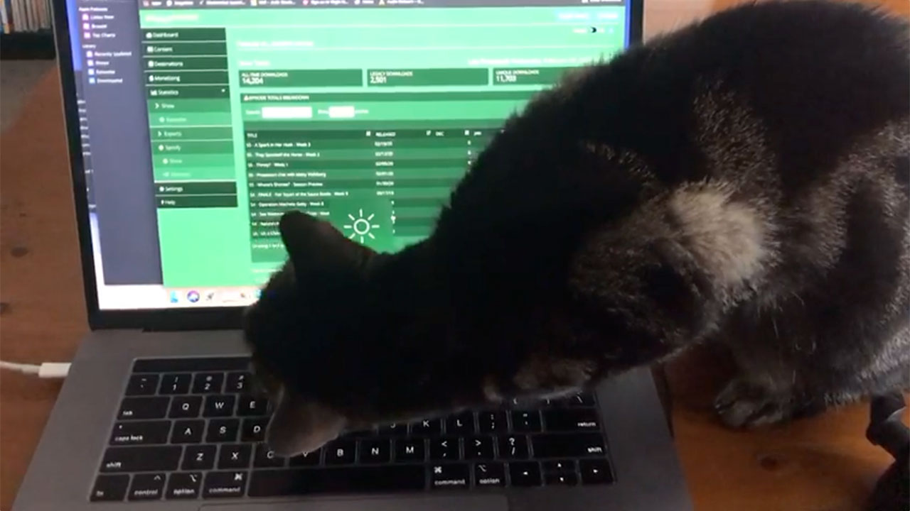 The surprising reason cats are drawn to keyboards – Drool by Dr. Chris ...
