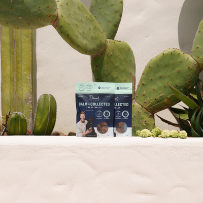 Pet Supplies & Products Australia | Online Dog & Cat Store – Drool by ...