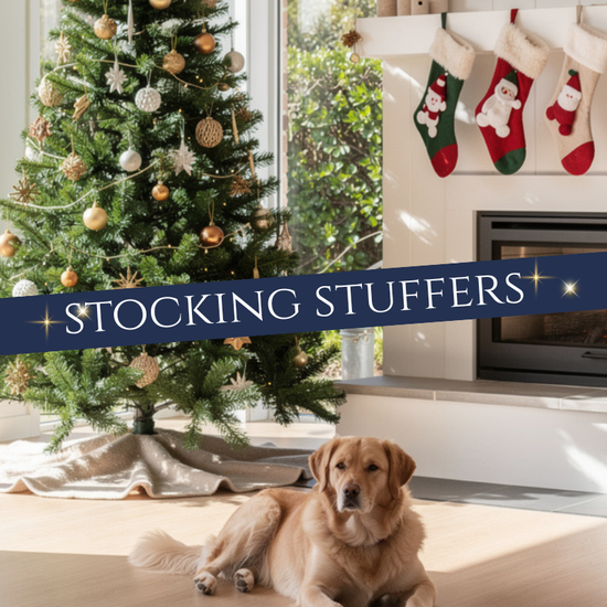 Christmas Bundles – Drool by Dr. Chris Brown