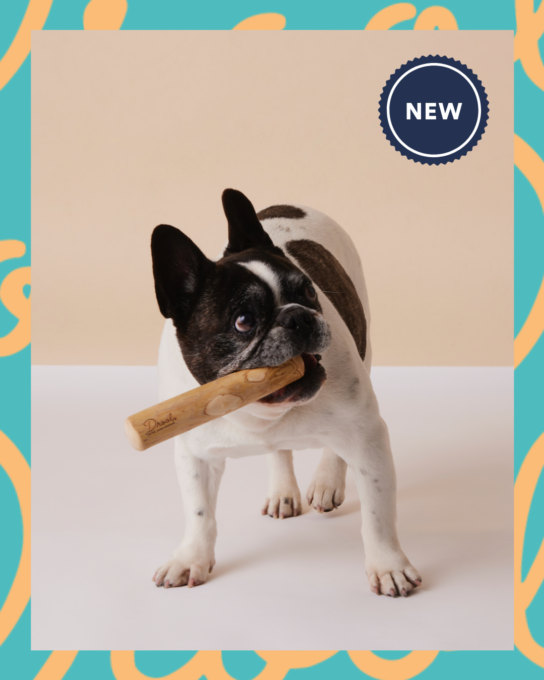 Coffee Wood Chew – Drool by Dr. Chris Brown