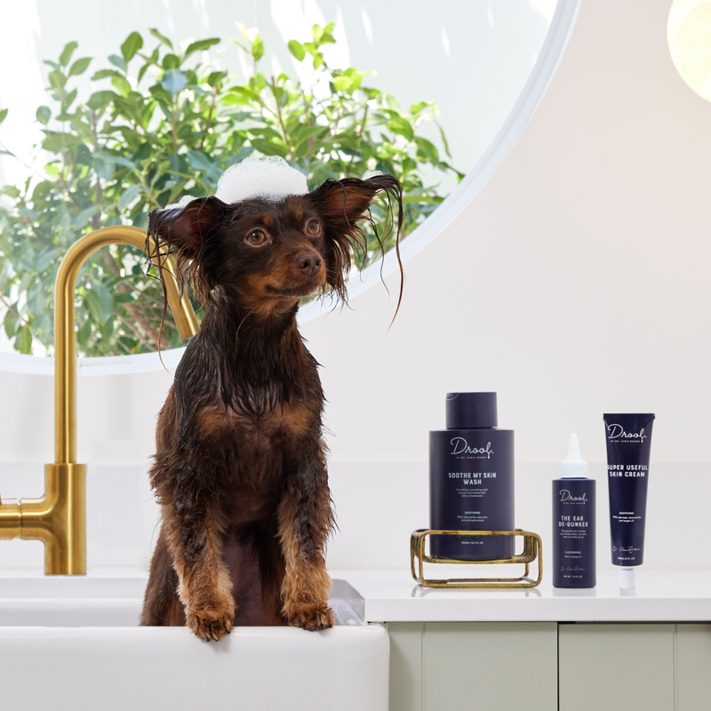 Drool by Dr. Chris Brown