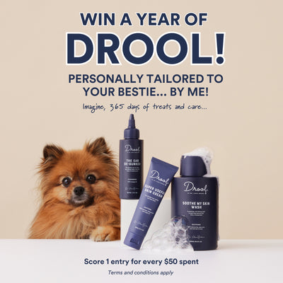 Pet Supplies & Products Australia | Online Dog & Cat Store – Drool by ...