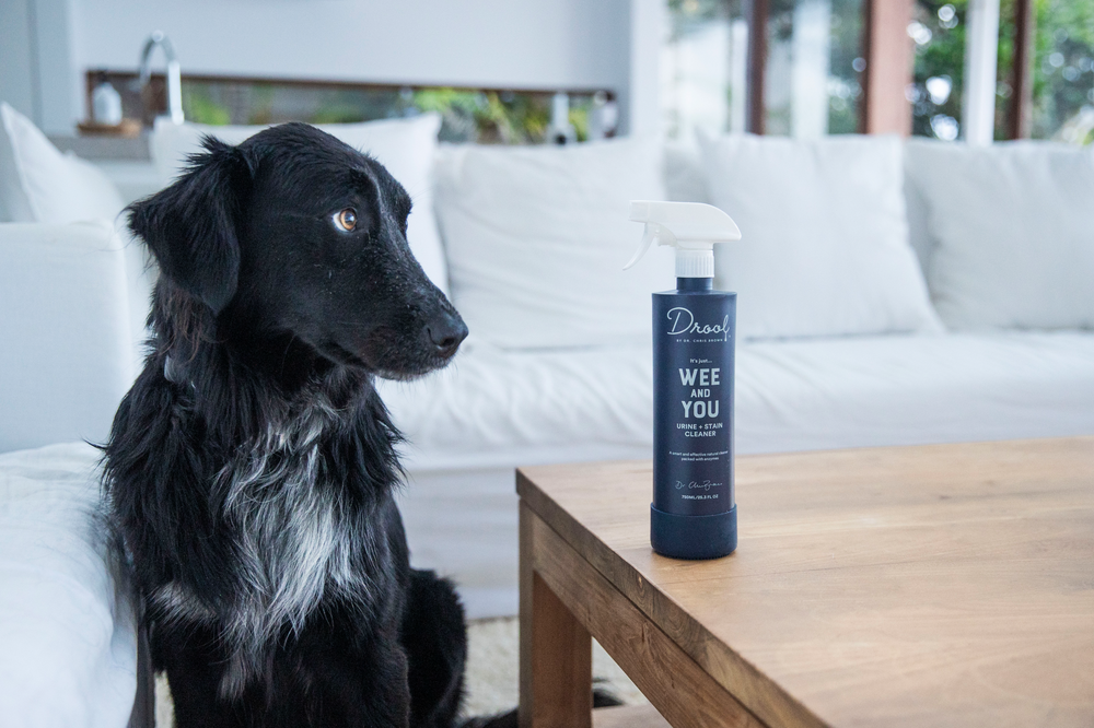 Drool by Dr. Chris Brown