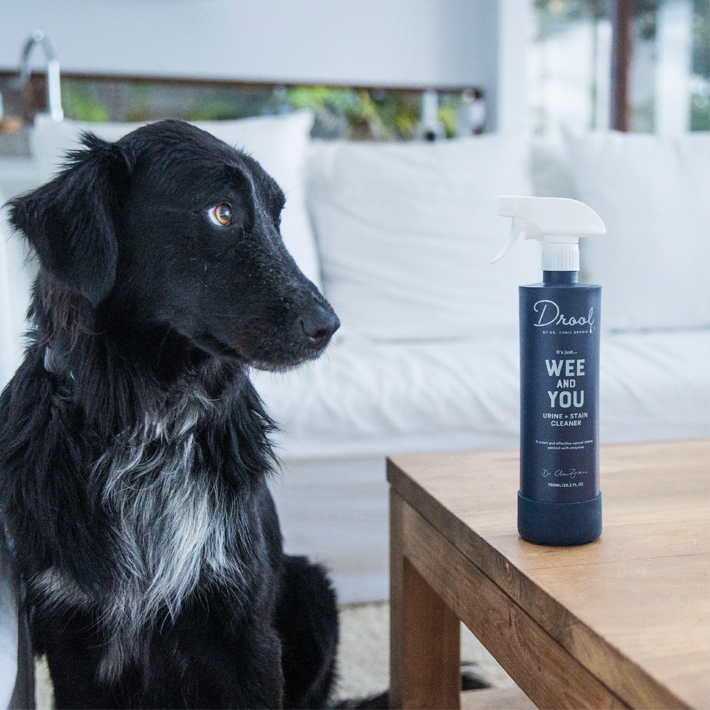 Wee and You Urine + Stain Cleaner – Drool by Dr. Chris Brown